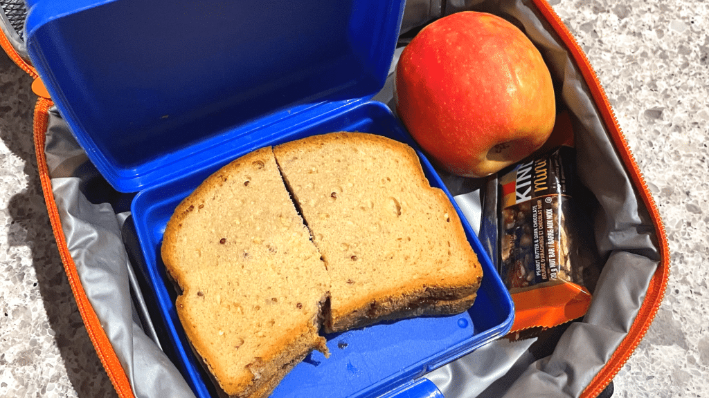 My Child is not Eating Lunch at School: 4 tips from a Dietitian